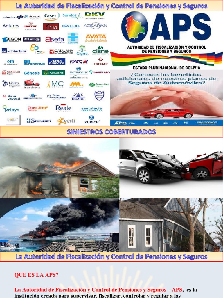 Conceptos y Aspectos Técnicos Del Seguro PDF | PDF