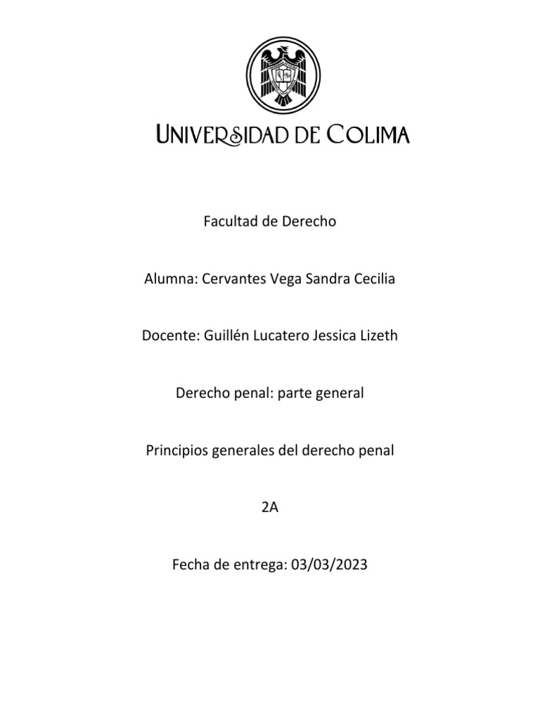 Principios Generales Del Derecho Penal Pdf Pdf Derecho Penal