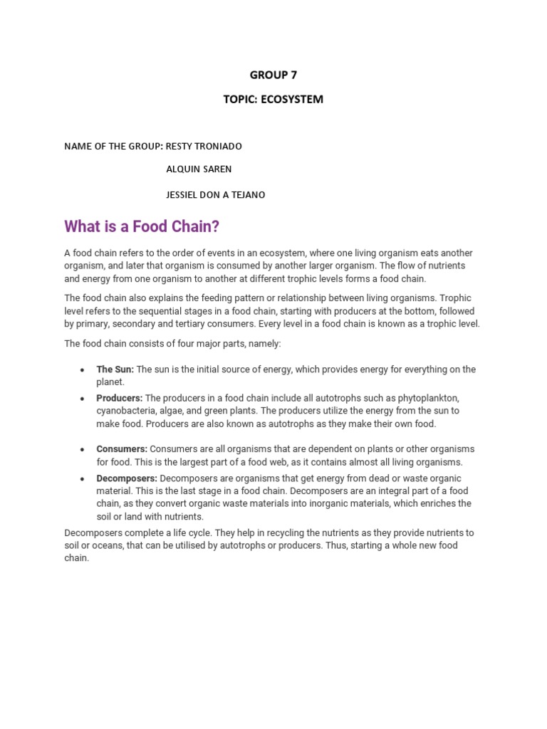 Ecosystem Pdf Food Web Ecosystem