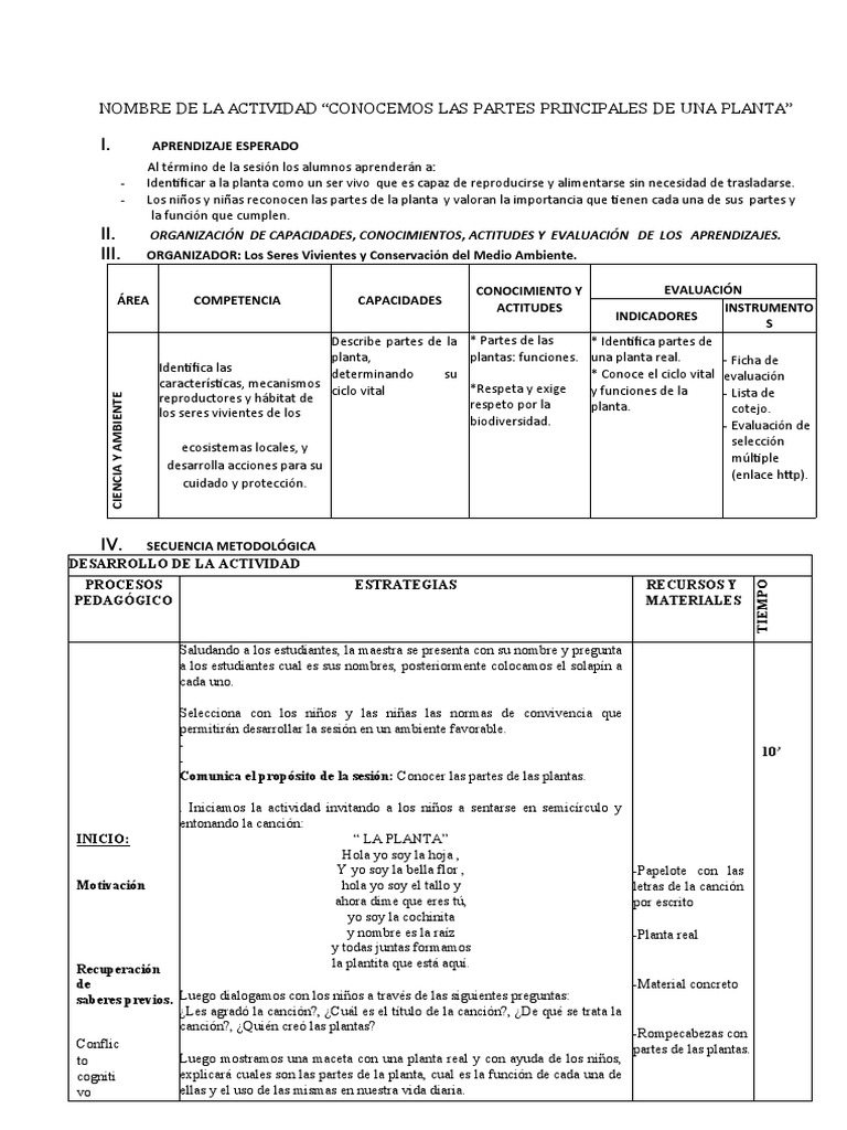 Conociendo las partes principales de una planta | PDF