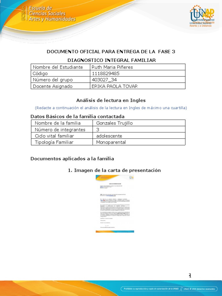 Anexo 4 - Formato Informe Diagnostico Familiar | PDF