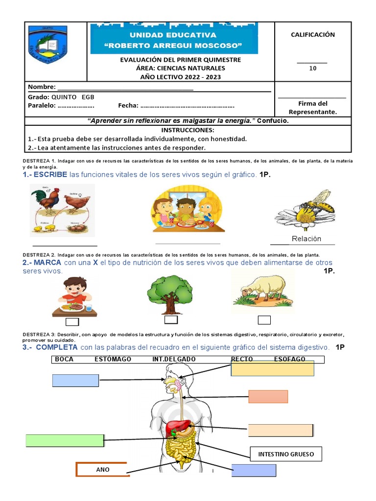 Eval 5to Egb 1 Quim CN | PDF