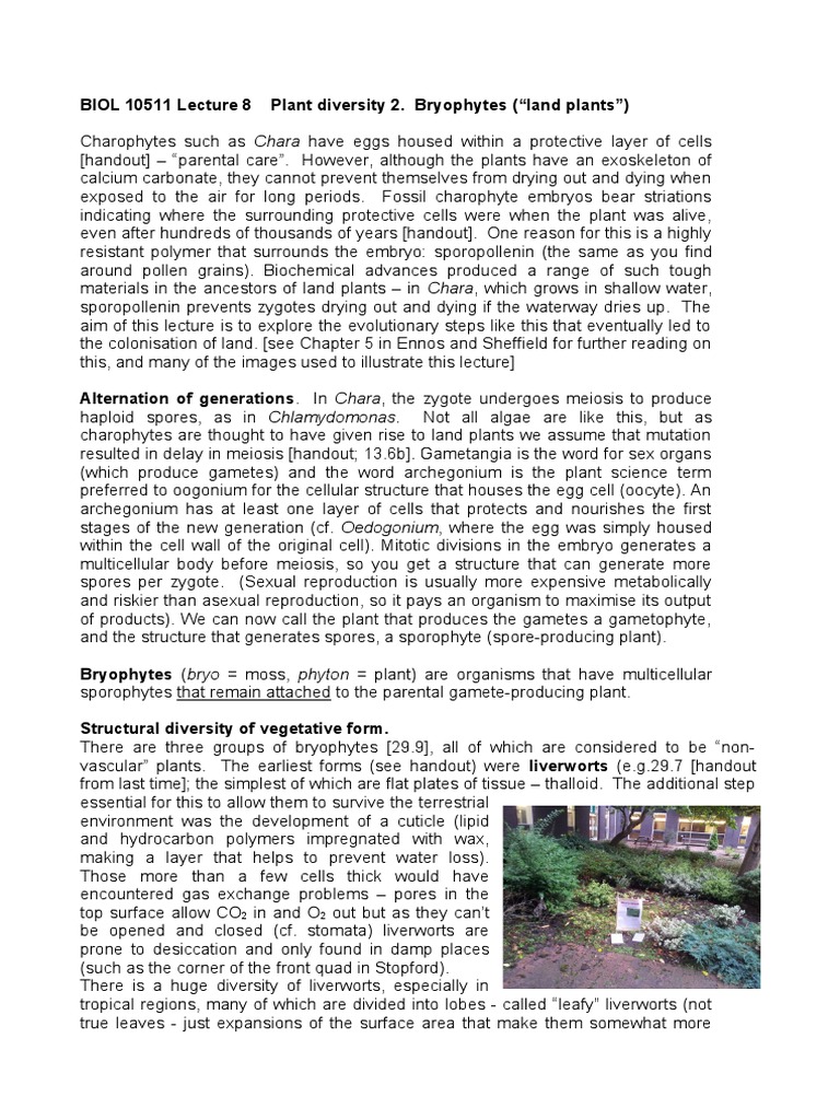 Lecture 8 Notes 2013 Pdf Sexual Reproduction Moss