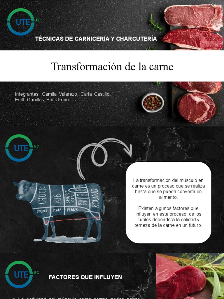 Transformación de La Carne - Grupo 2 | PDF | Músculo | Carne