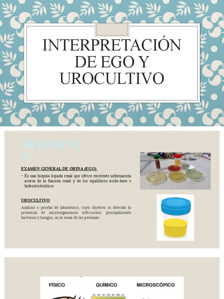 INTERPRETACIÓN DE EGO Y UROCULTIVO.pptx | PDF