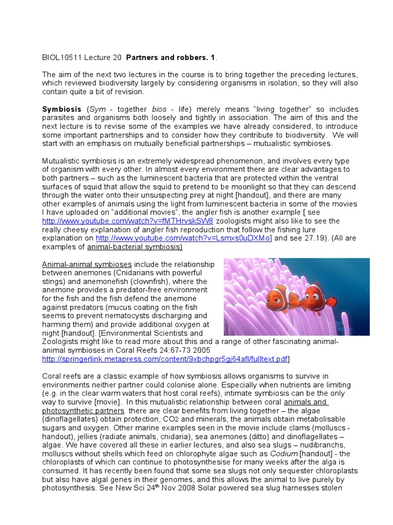 Lecture 20 Notes 2013 | PDF