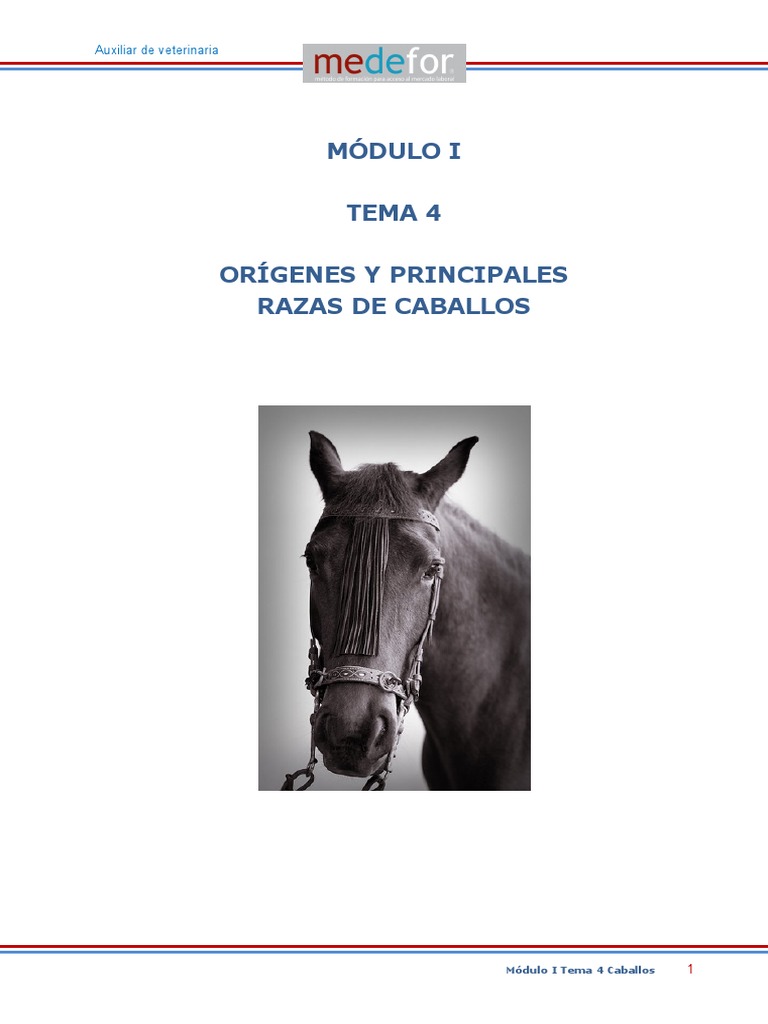 Historia, Evolución y Principales Razas de Caballo PDF | PDF