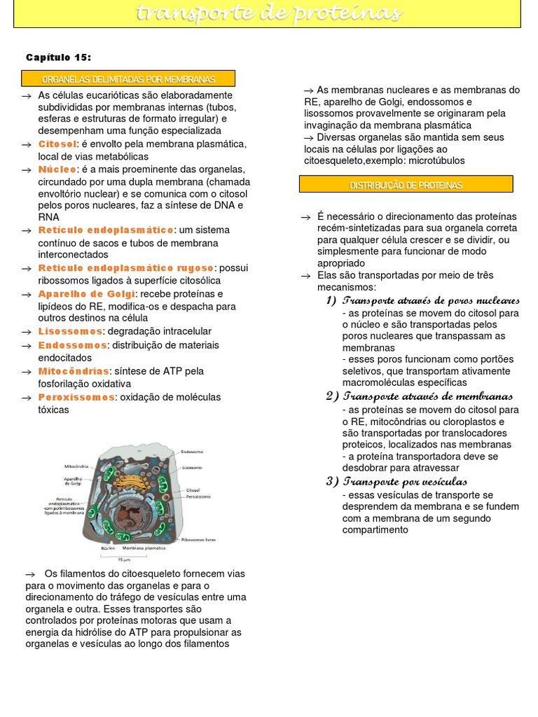 Resumo Capítulo 15 Biocel PDF | PDF