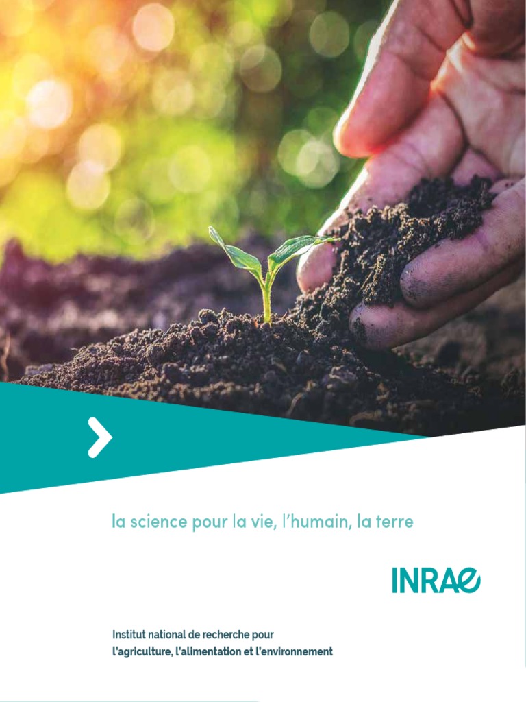 Plaquette-INRAE_FR_Planches.pdf | PDF