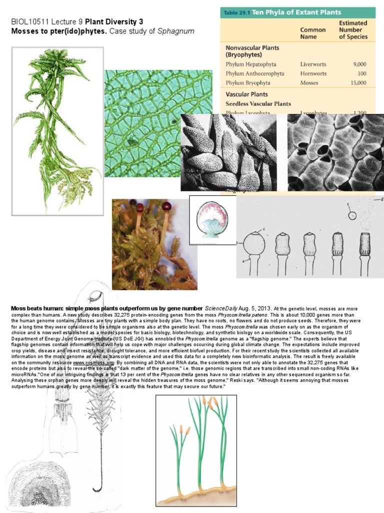 Decoding the Moss Genome: Insights into Climate Change Resistance and ...