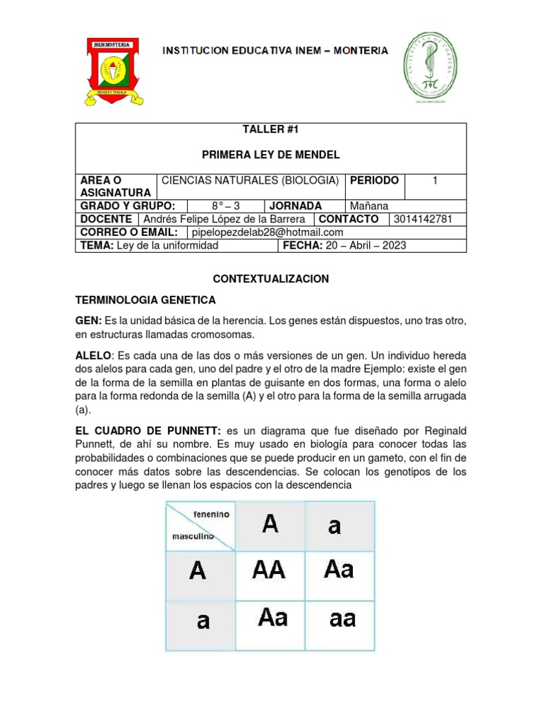 TALLER Primera Ley de Mendel PDF | PDF