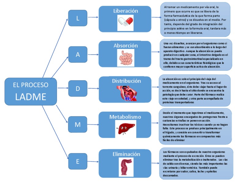 Huaman Santamaria Alis - LADME | PDF