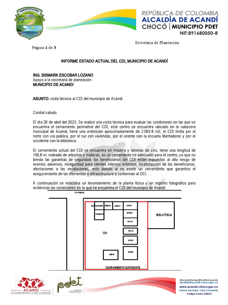 Informe Estado Actual Del Cdi | PDF