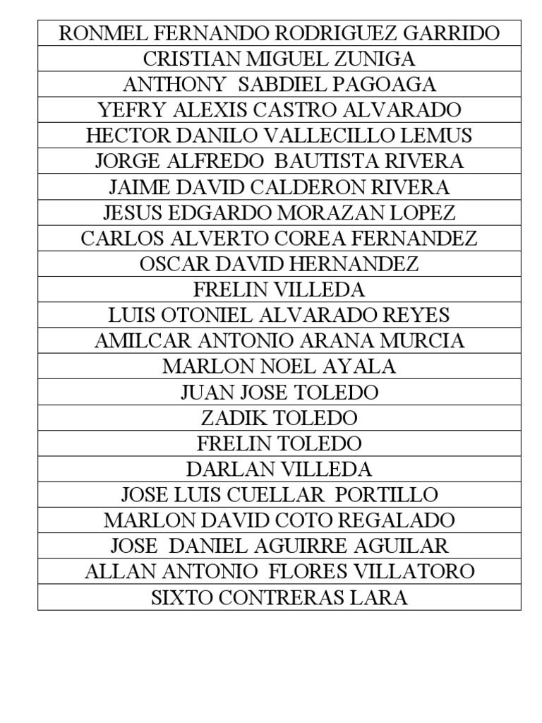 RONMEL FERNANDO RODRIGUEZ GARRIDO.docx | PDF