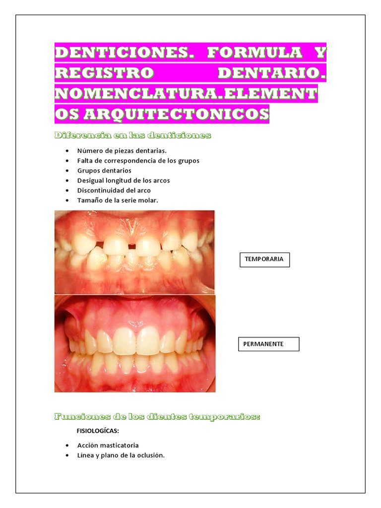 DENTICIONES.pdf | PDF