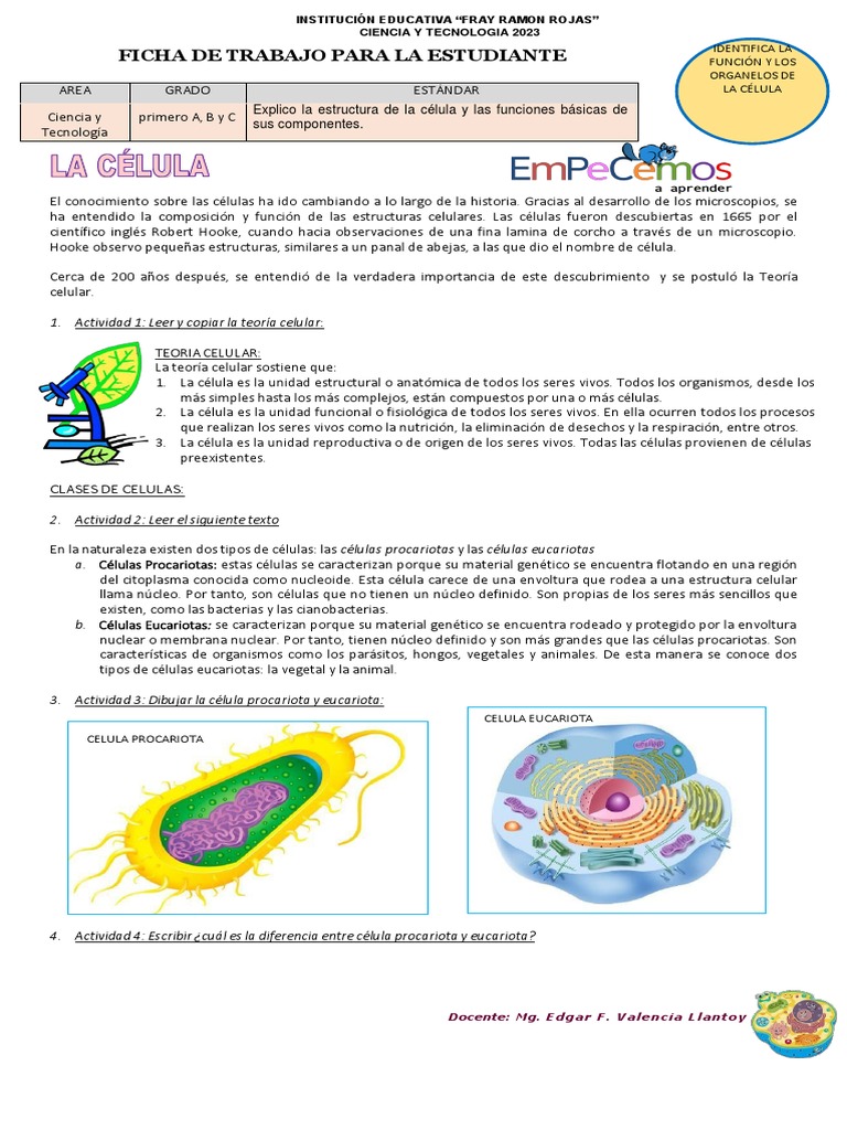 Ficha de Trabajo-La Celula PDF | PDF
