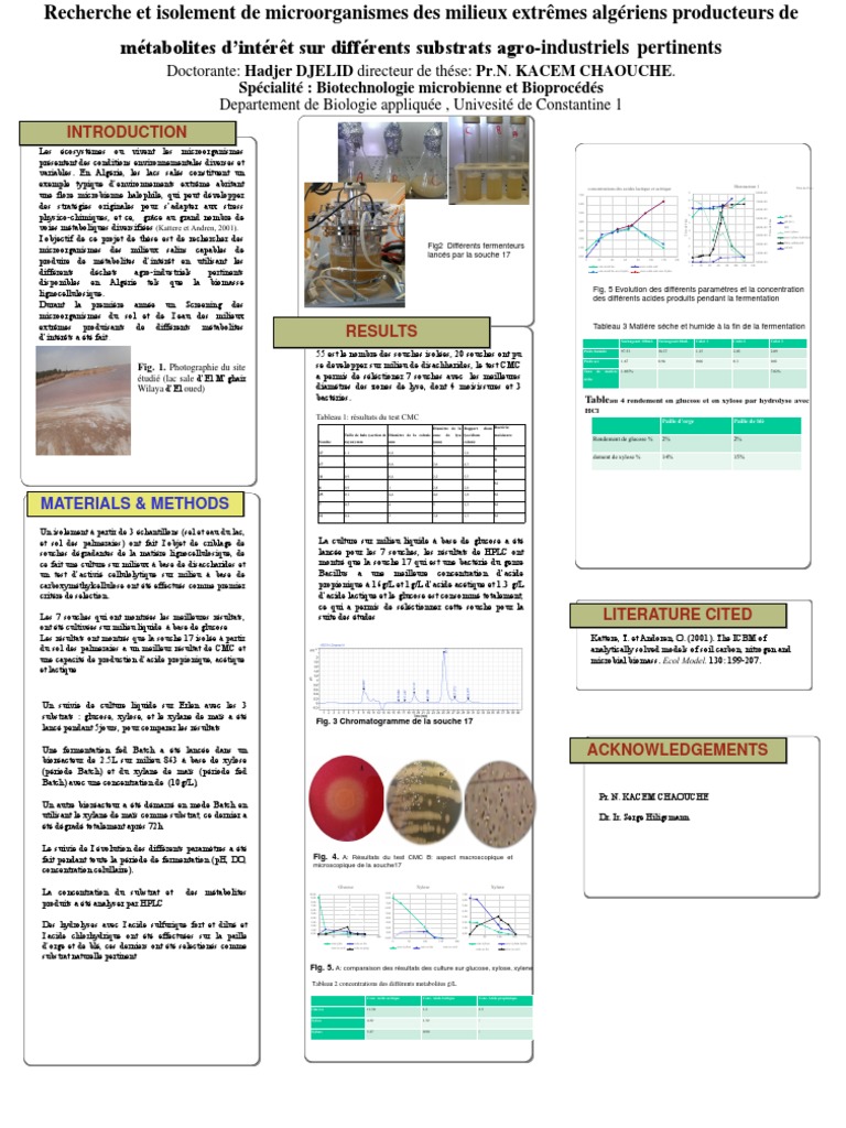 Hadjer Djelid PDF | PDF
