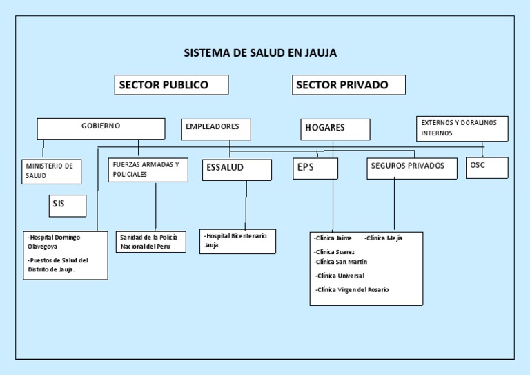 Sistema de Salud en Jauja Estefani | PDF