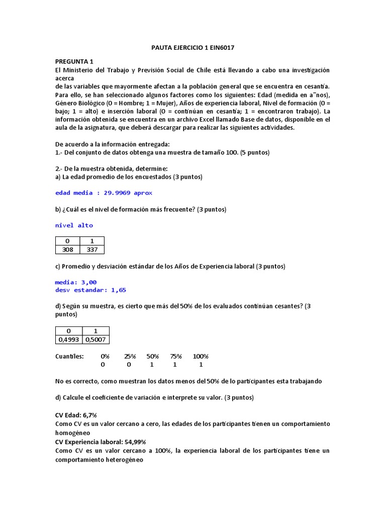 PAUTA EJERCICIO 1- EIN6017 (1).docx | PDF