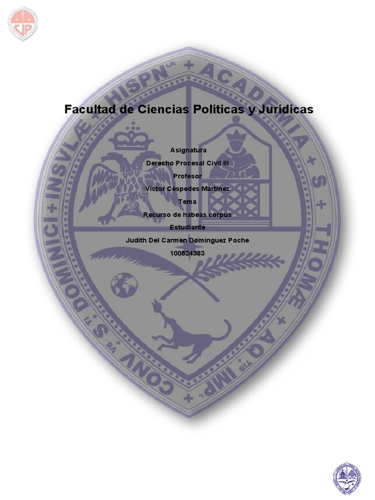 El Recurso de Casacion | PDF