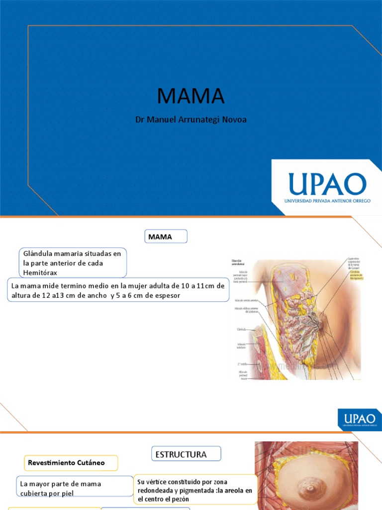 MAMA | PDF