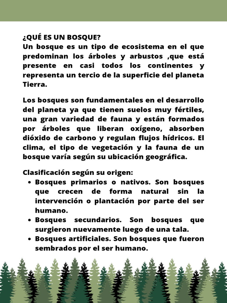 ¿Qué Es Un Bosque PDF | PDF