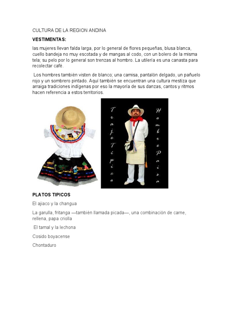 Cultura y tradiciones de la región andina | PDF | Instrumentos musicales