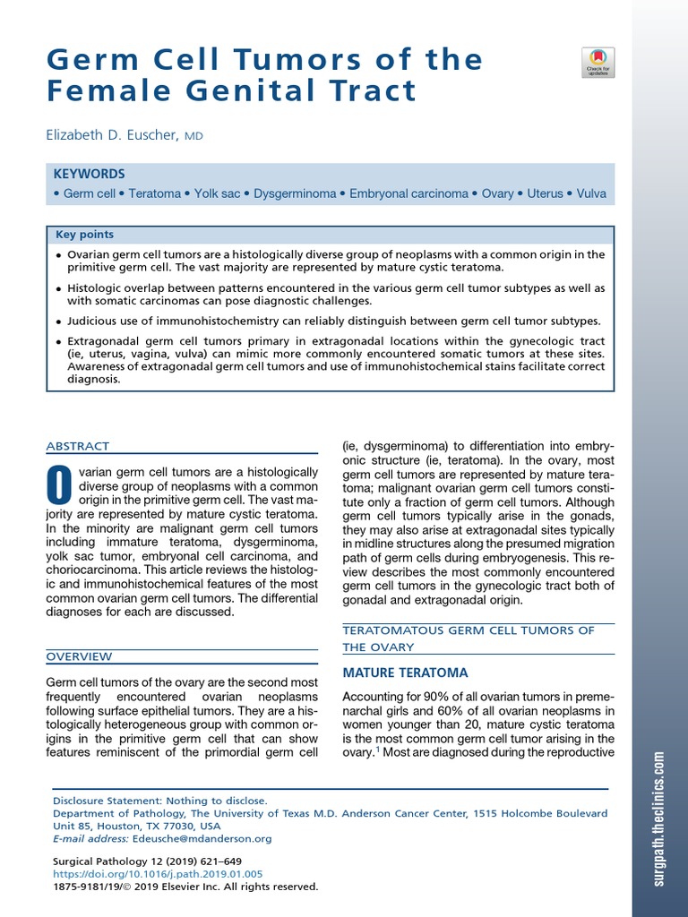 Germ Cell Tumors Of Female Genital Tract Pdf Pdf