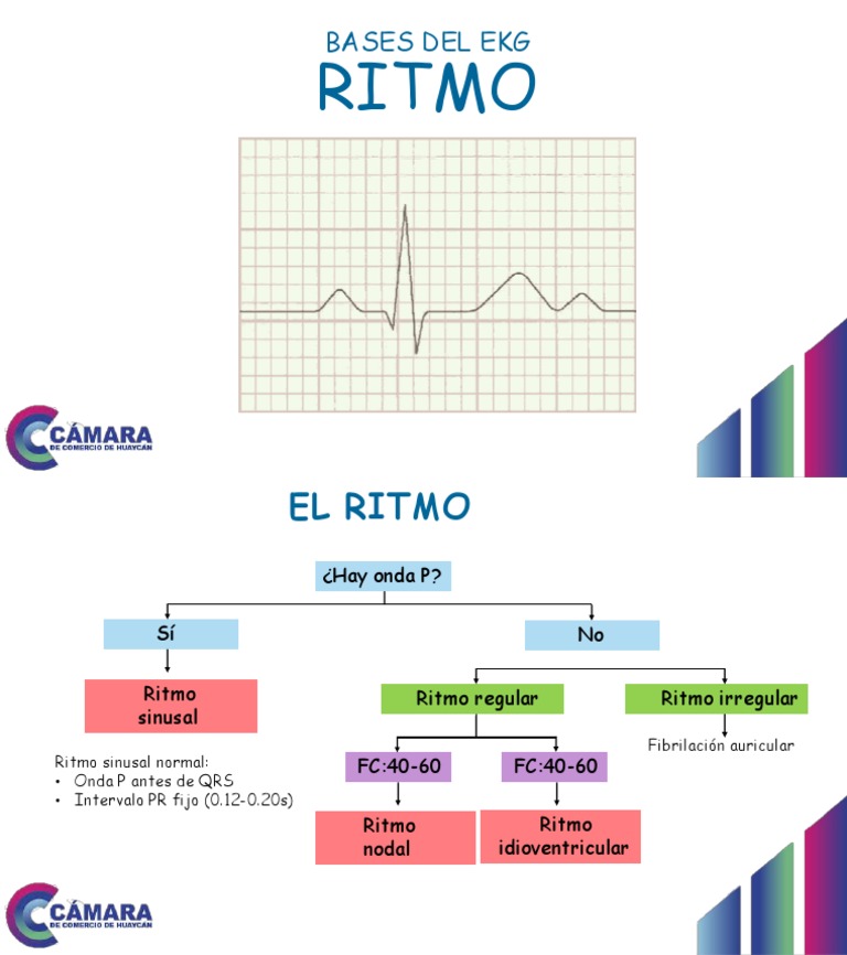 Bases Del Ekg Ritmo PDF | PDF