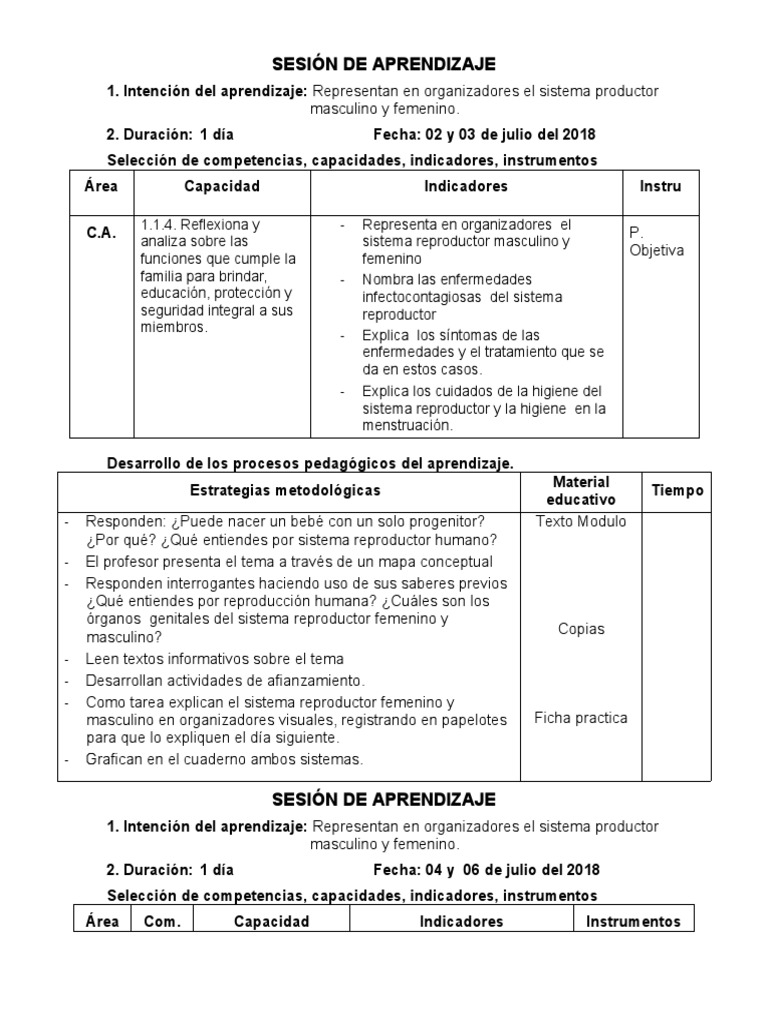 SESIÓN DE APRENDIZAJEs. Reproductor | PDF SESIÓN DE APRENDIZAJEs. Reproductor | PDF