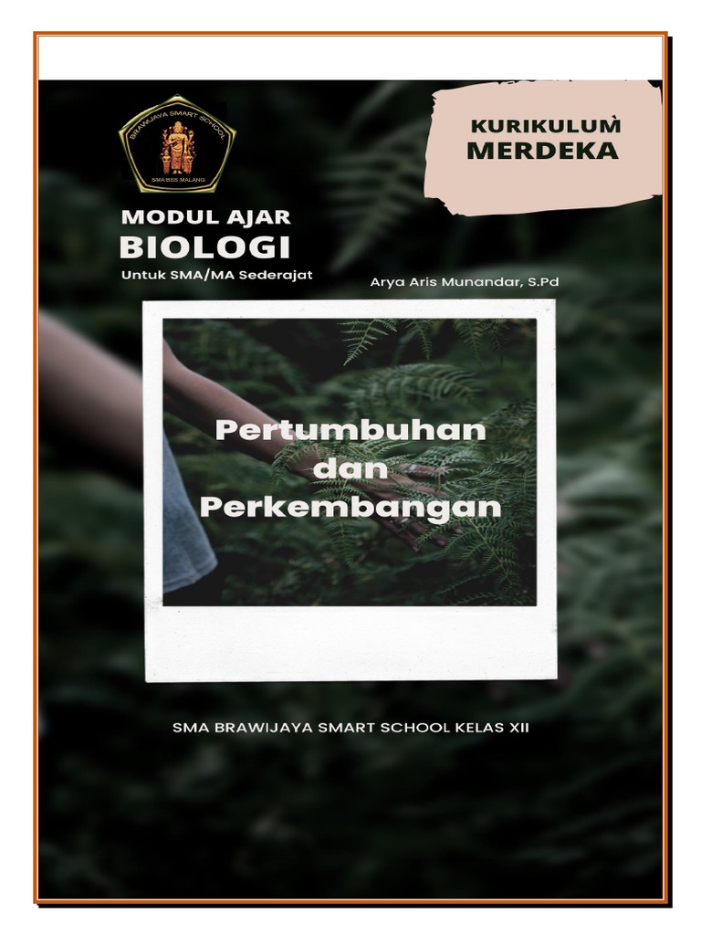 RPP Modul Ajar Siklus 3 PDF | PDF