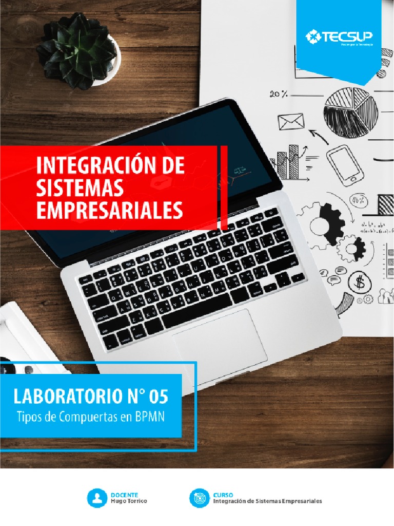 Laboratorio07.docx | PDF | Publicidad | Laboratorios