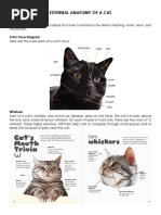 Cat FAS and Frustration Management Guide | PDF