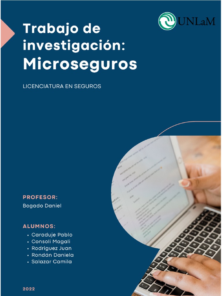 Microseguros 1 | PDF