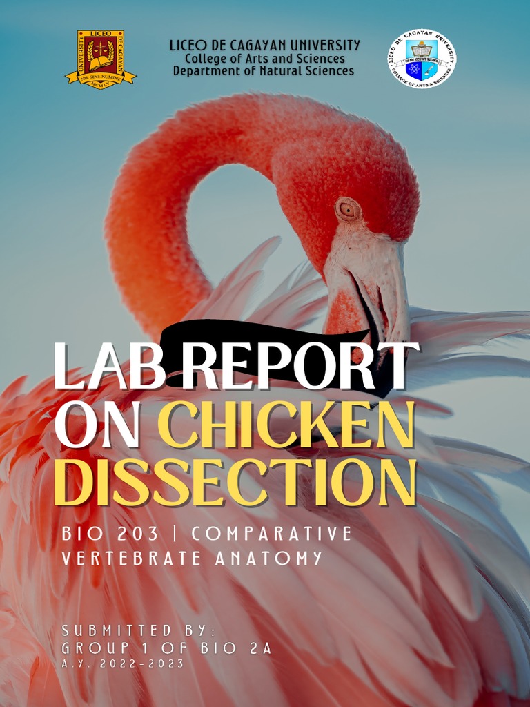 Group 1 - Chicken Dissection PDF | PDF | Respiratory Tract ...