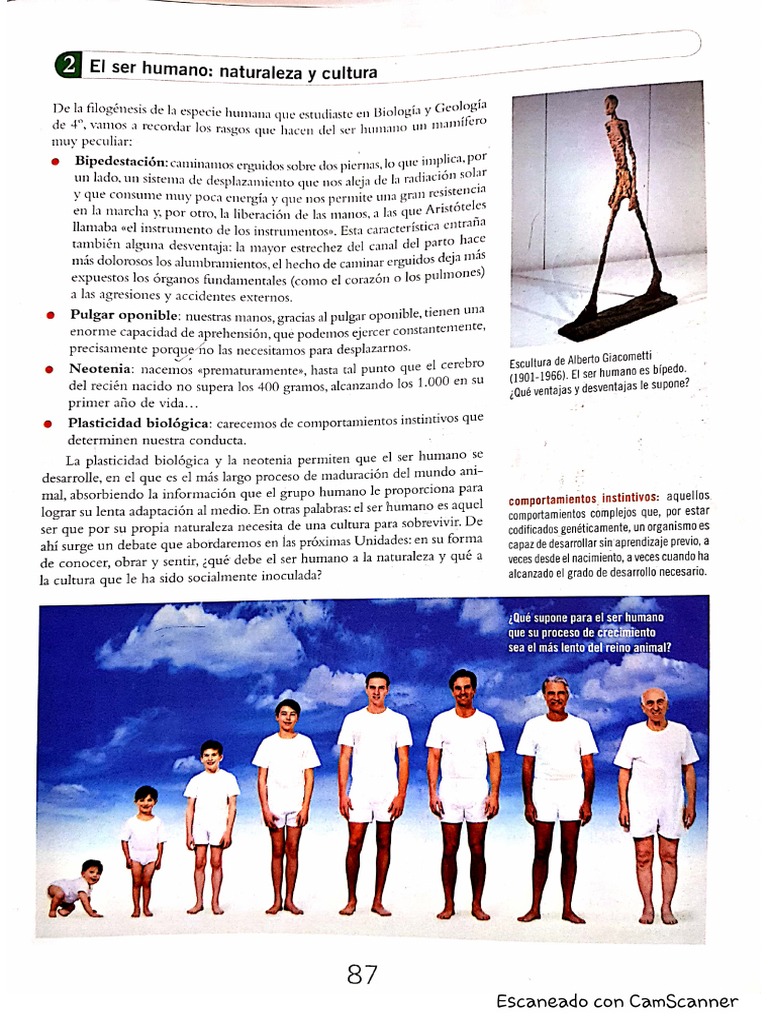 El Ser Humano, Naturaleza y Cultura PDF | PDF