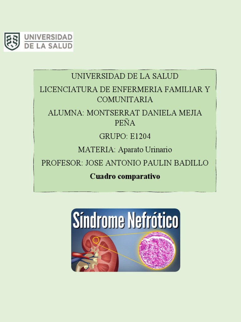 Au - S3 - Act6 - Mejia - Peña - Montserrat - Daniela | PDF