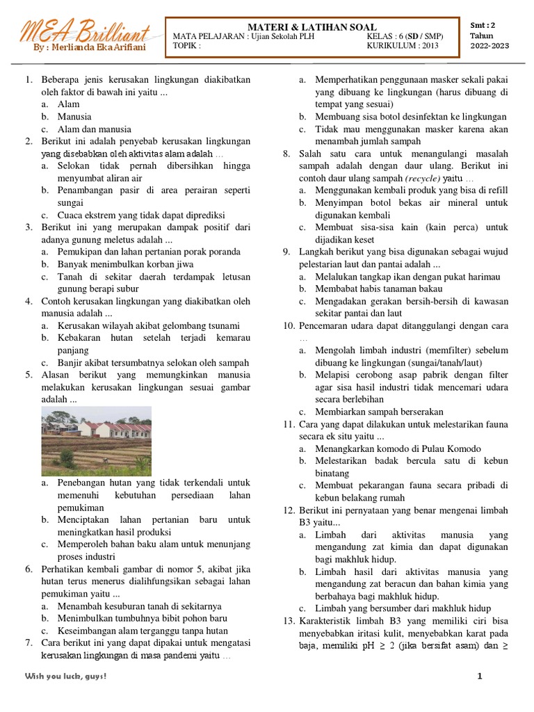 6 SD - PLH - Soal US PDF | PDF