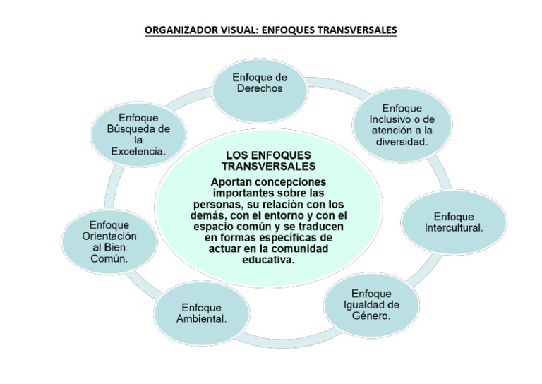 Organizador Visual Enfoques Transversales | PDF