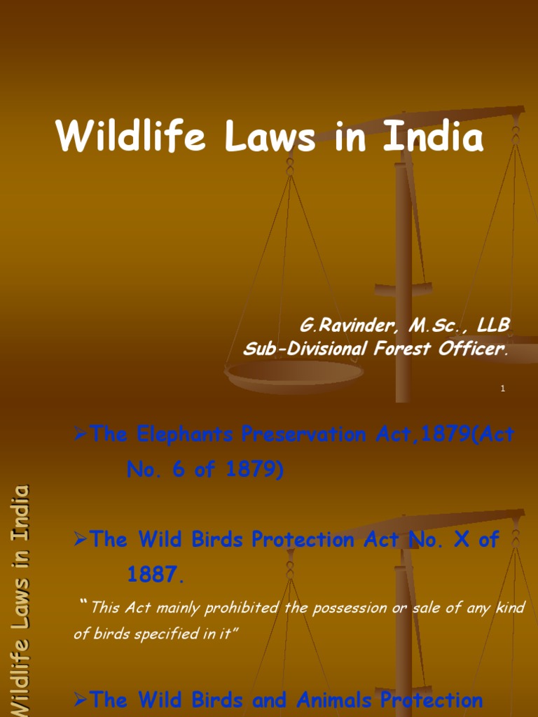 Forest and Wildlife Laws in India | PDF | Wildlife | Conservation Movement
