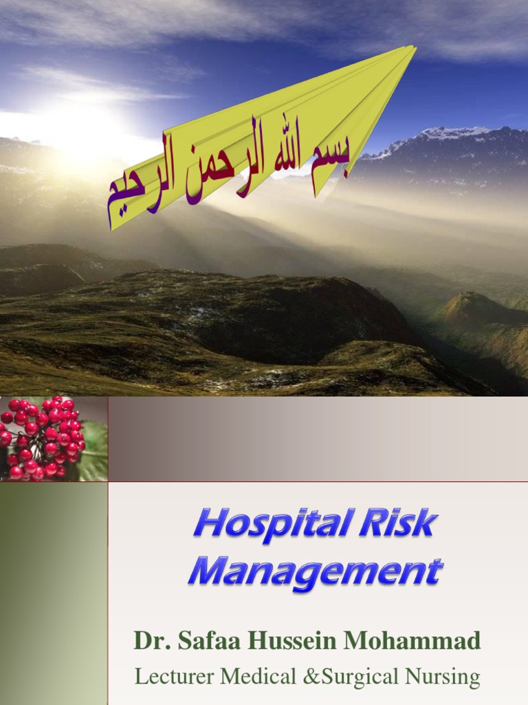 Hospital Risk Management Strategies | PDF