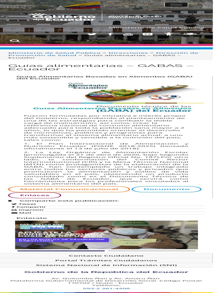 Guías Alimentarias - GABAS - Ecuador - Ministerio de Salud Pública PDF | PDF