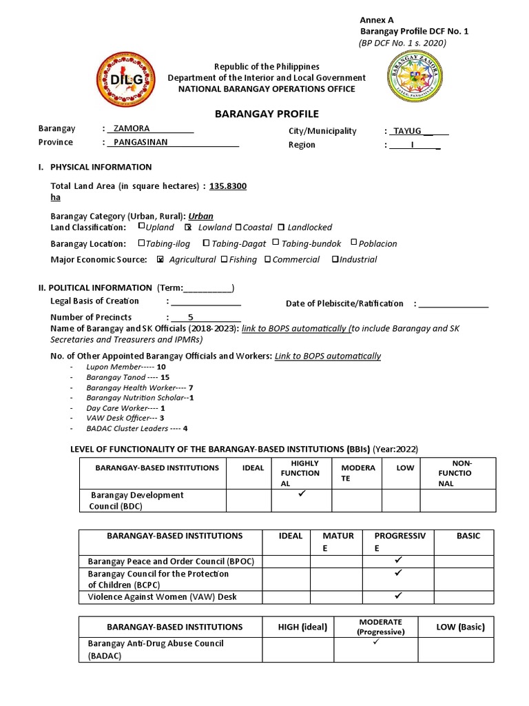 Barangay Profile DCF | PDF