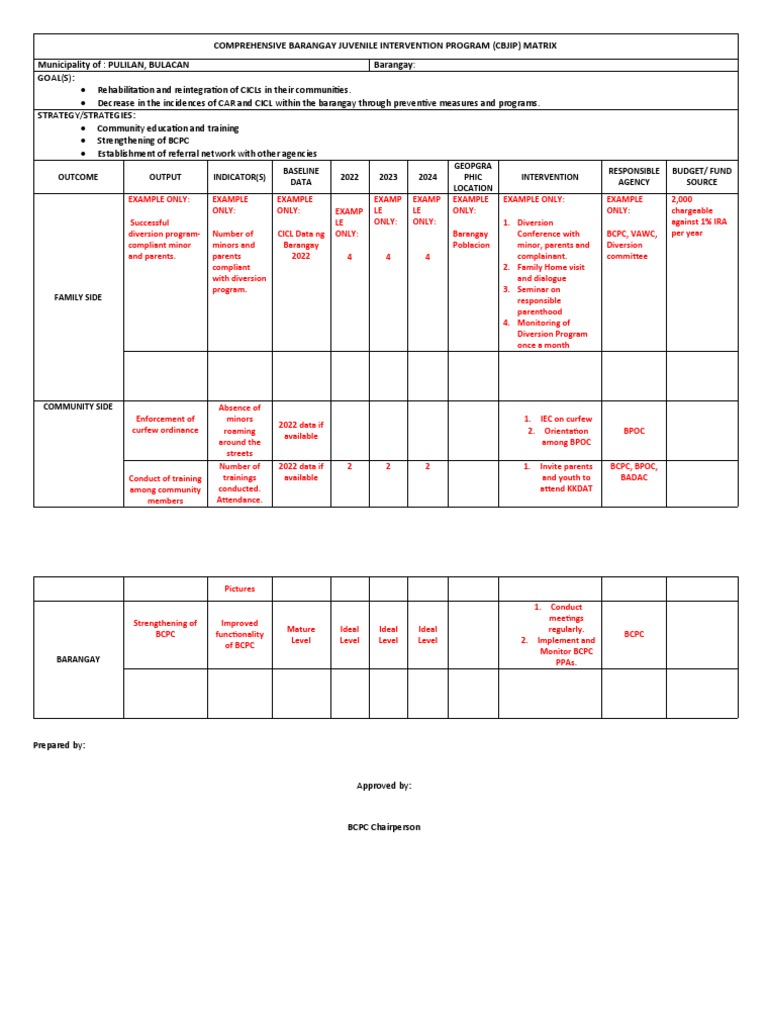 CBJIP Matrix Pulilan | PDF