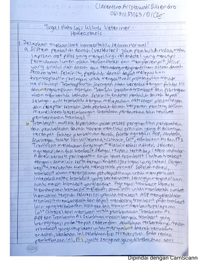 Tgs Patklik 4 PDF | PDF