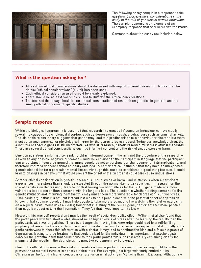 Ethics_ERQ_sample.pdf | PDF