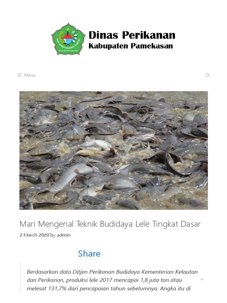 Panduan Budidaya Lele PDF | PDF