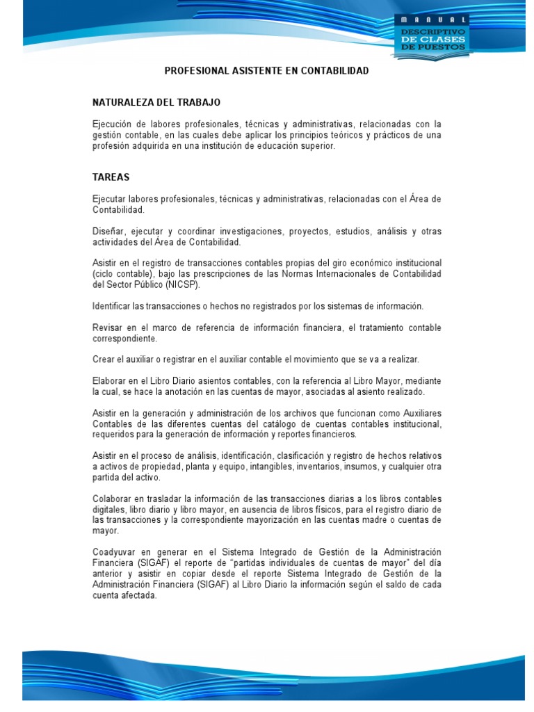Profesional Asistente Contabilidad Pa2 | PDF
