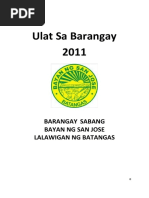 Template For The State of The Barangay Address | PDF