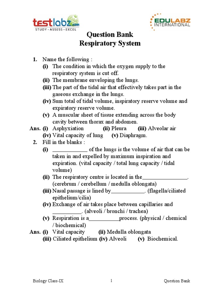 Question Bank Respiratory System | PDF | Respiratory System | Lung